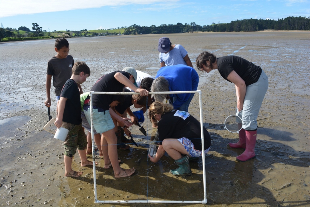Whananaki School - Estuary Monitoring Group